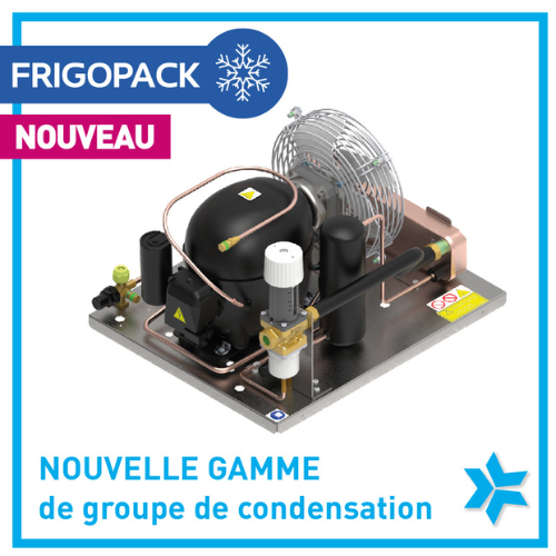 FRITEC